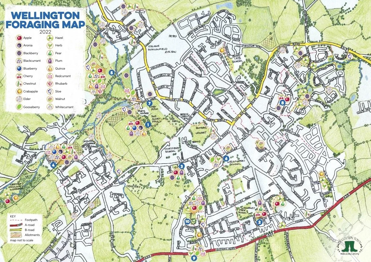 Foraging Guide and Map Download — Transition Town Wellington