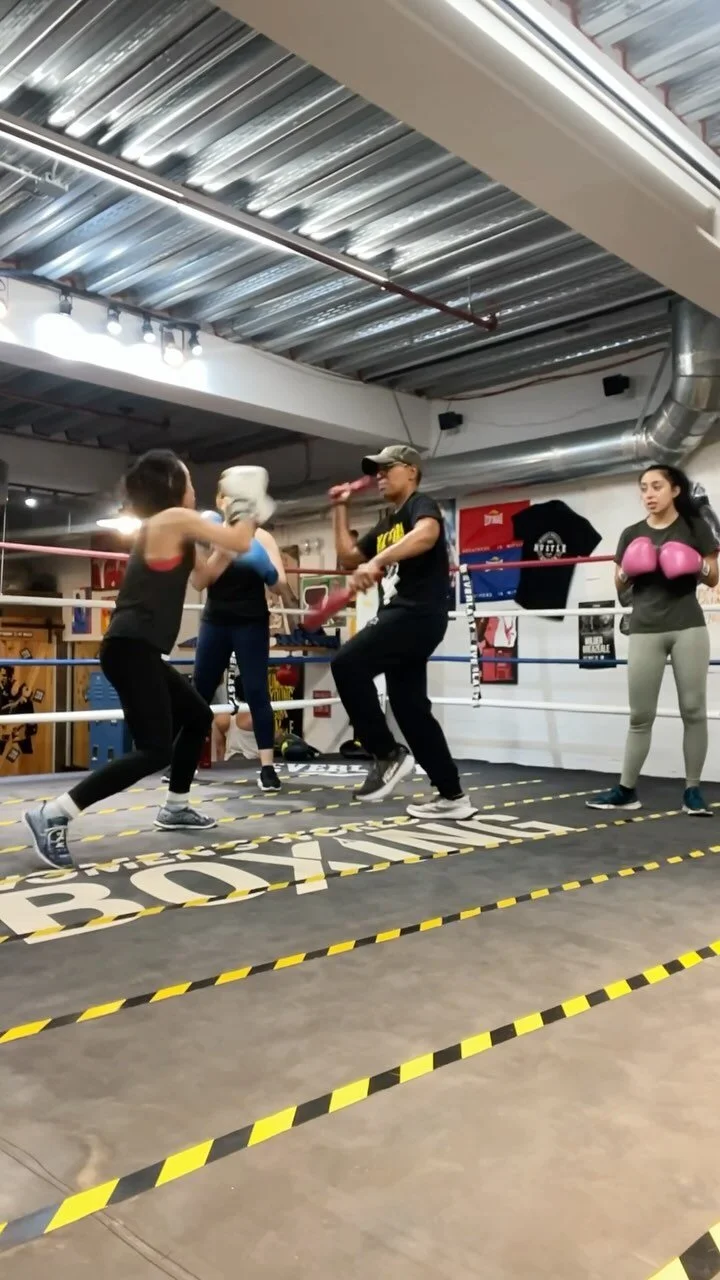 Women's World of Boxing