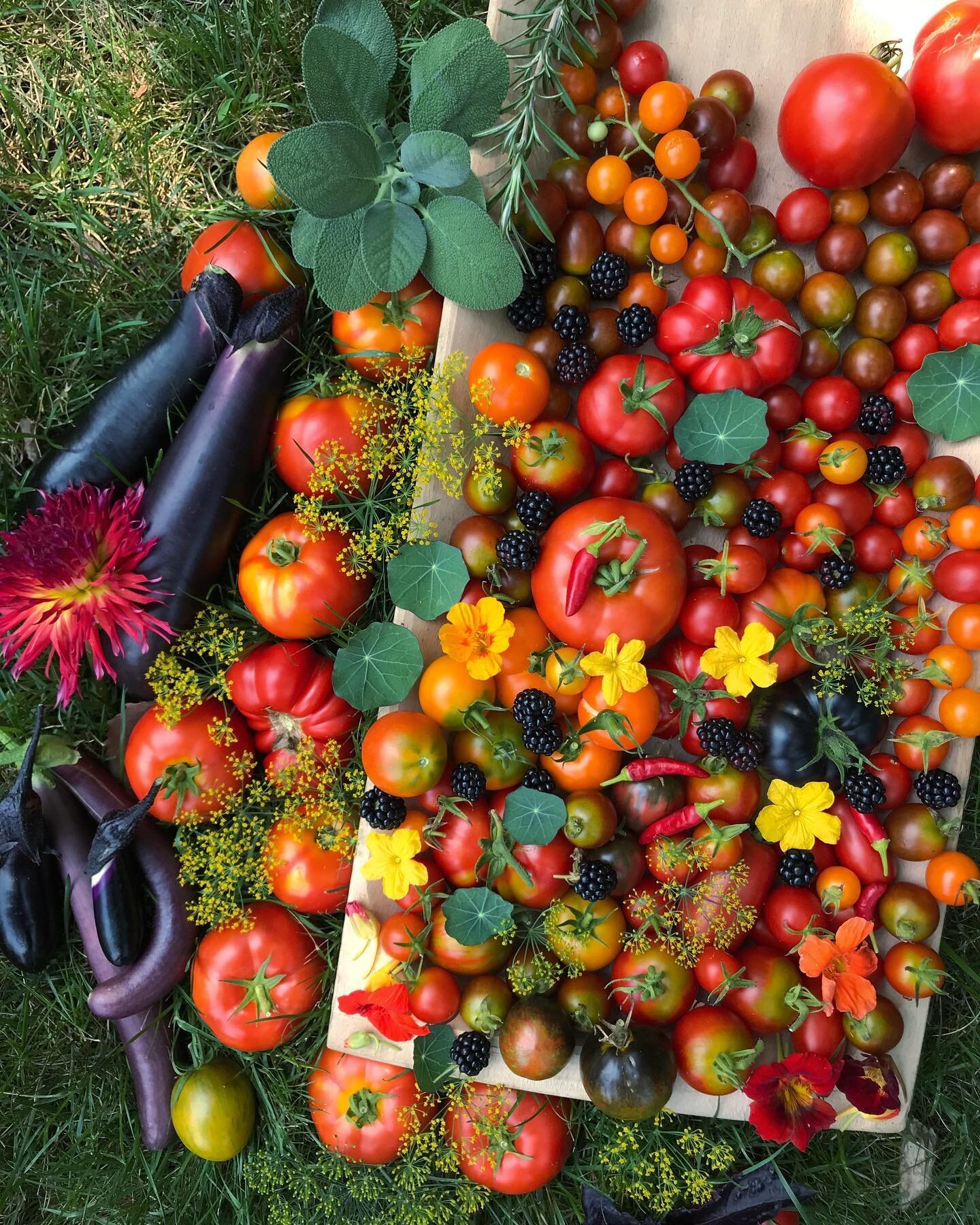 WORK WITH ME — VERDURA