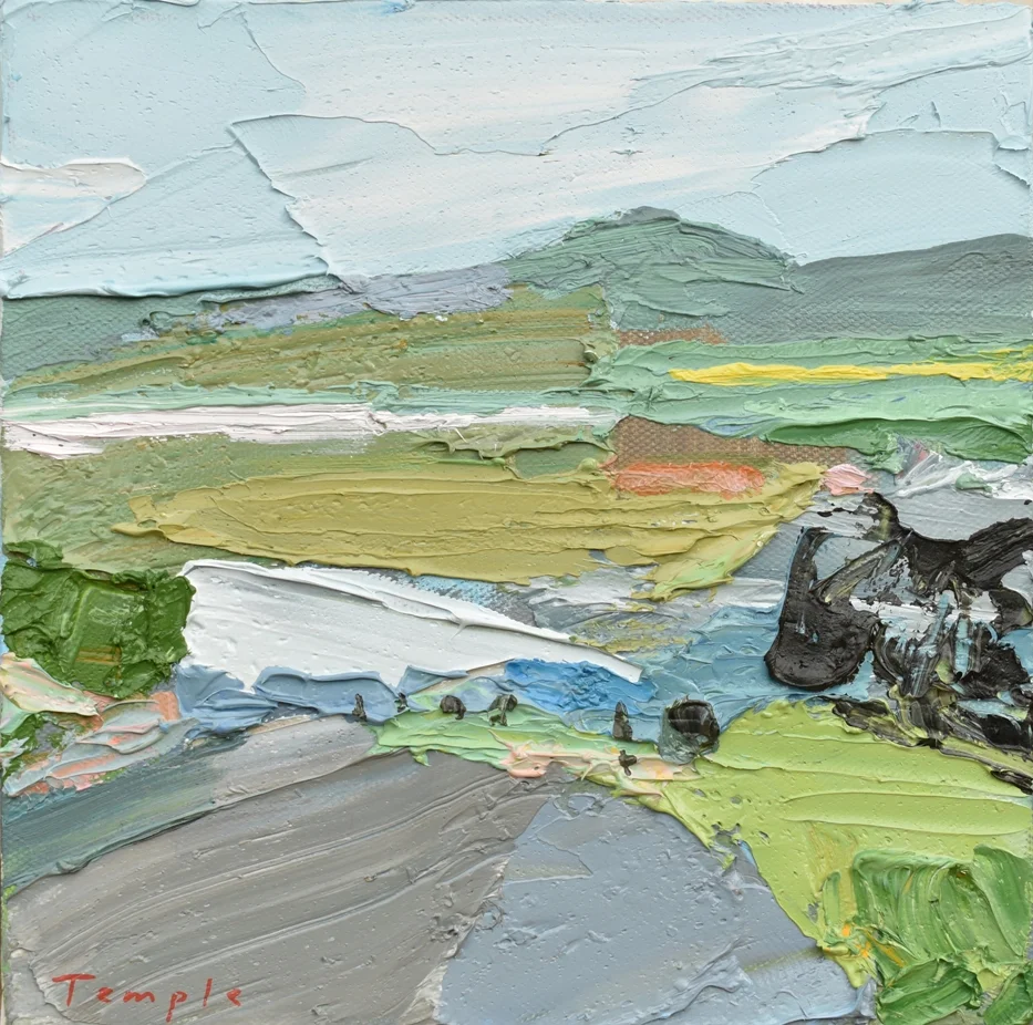 Lise Temple — Artworx Gallery | Contemporary Art & Gifts | Goolwa SA