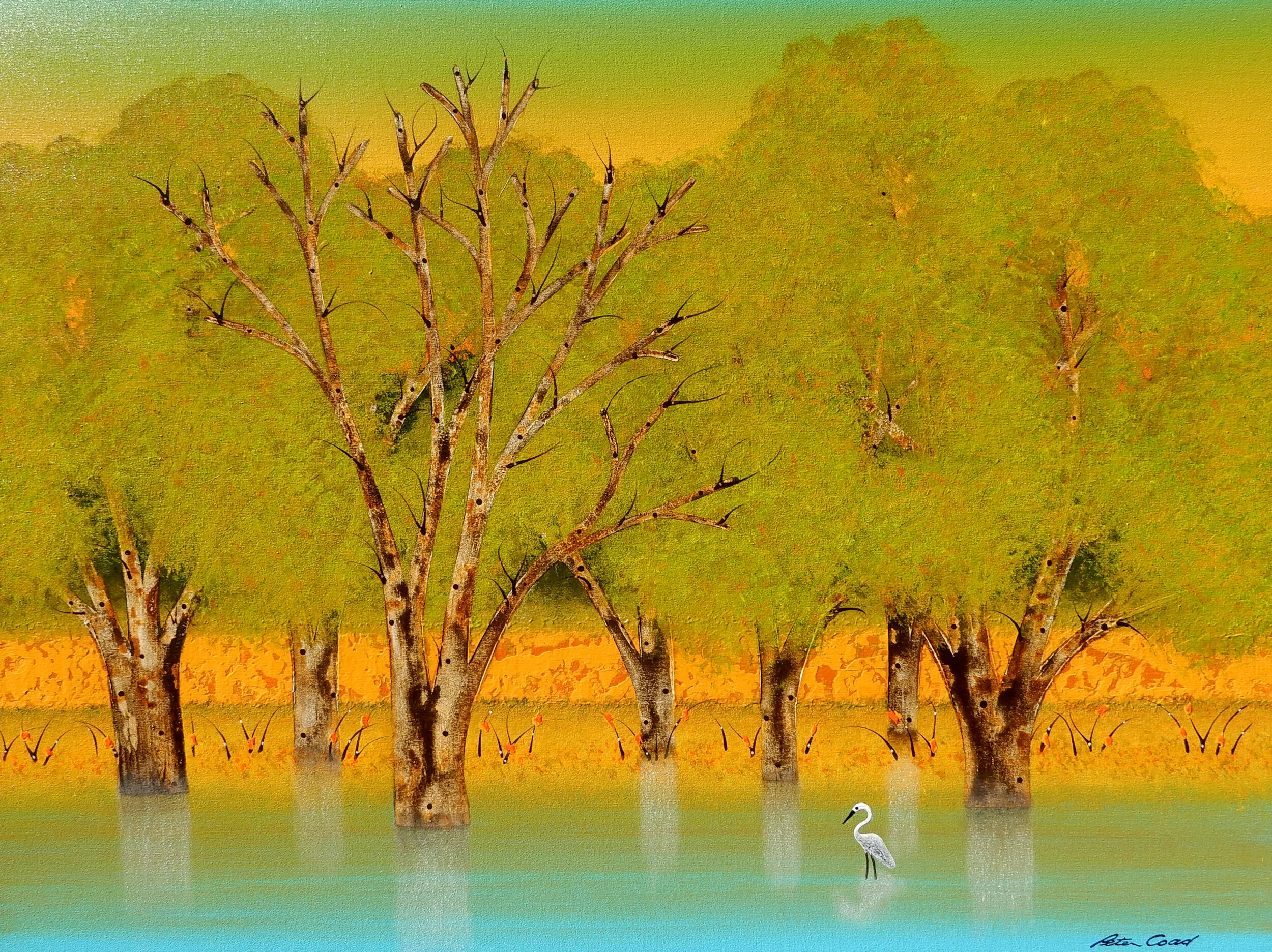 Peter Coad — Artworx Gallery | Contemporary Art & Gifts | Goolwa SA