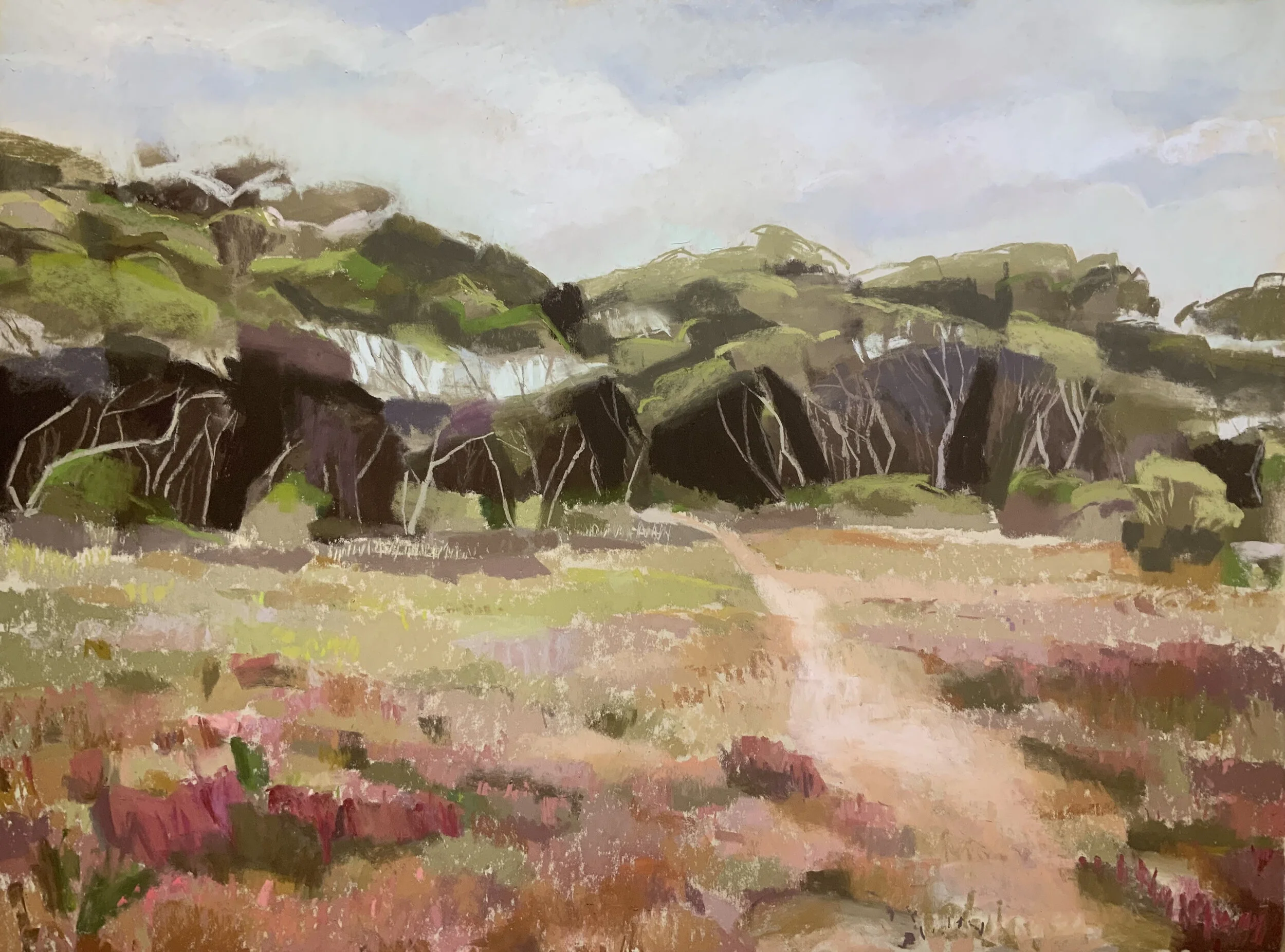 Suzie Riley — Artworx Gallery | Contemporary Art & Gifts | Goolwa SA