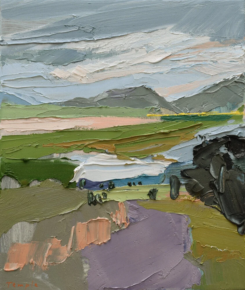 Lise Temple — Artworx Gallery | Contemporary Art & Gifts | Goolwa SA