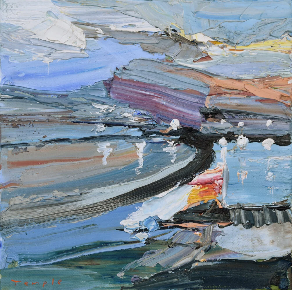 Lise Temple — Artworx Gallery | Contemporary Art & Gifts | Goolwa SA