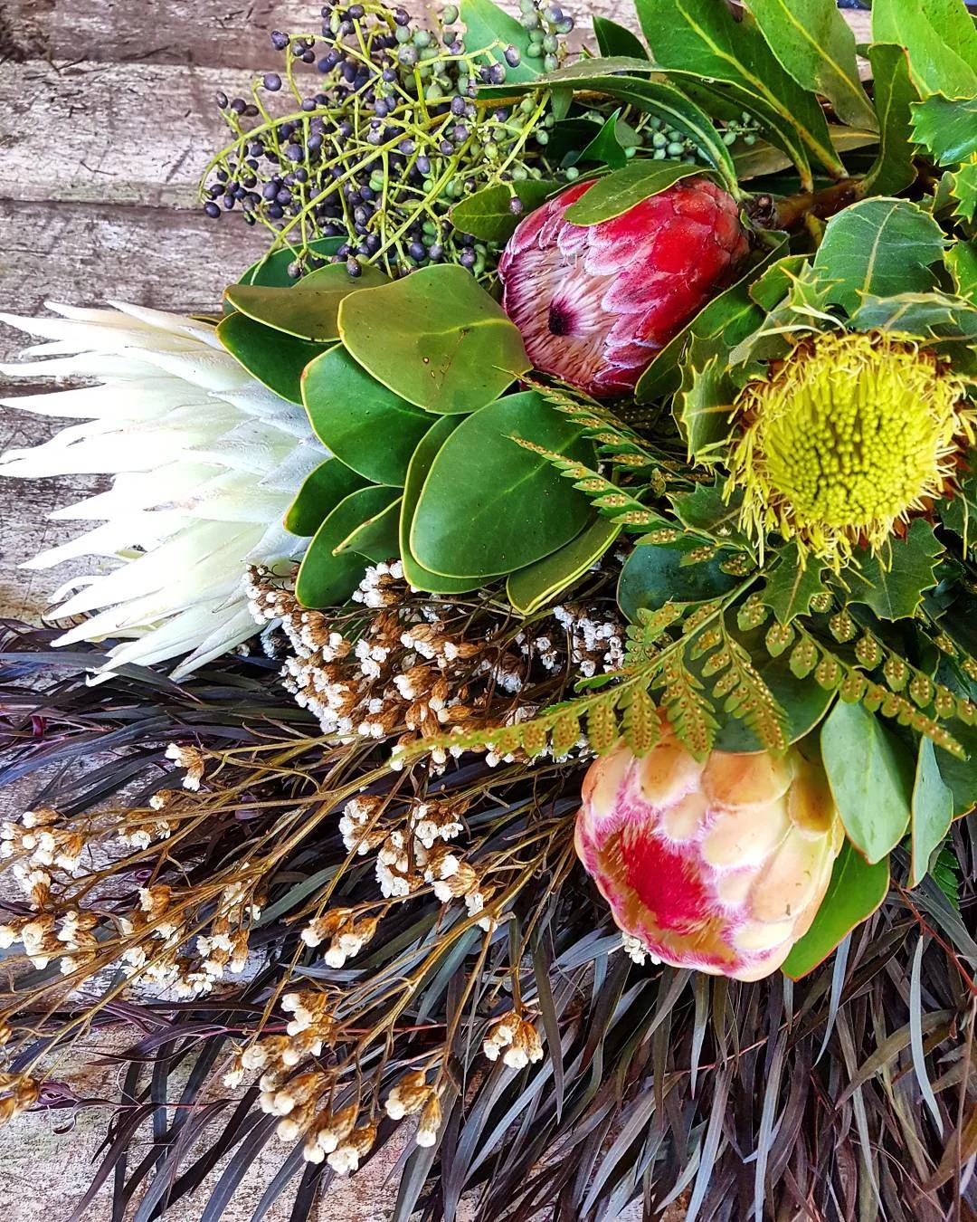 Byron Bay Flowers at the Farm