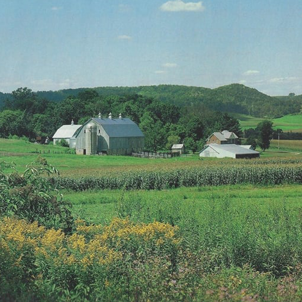 About — The Stone Barn