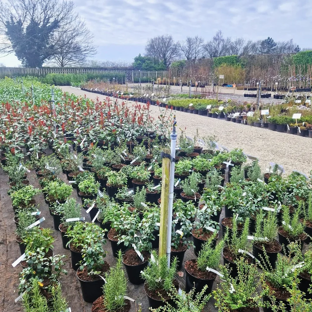 New barns Nurseries