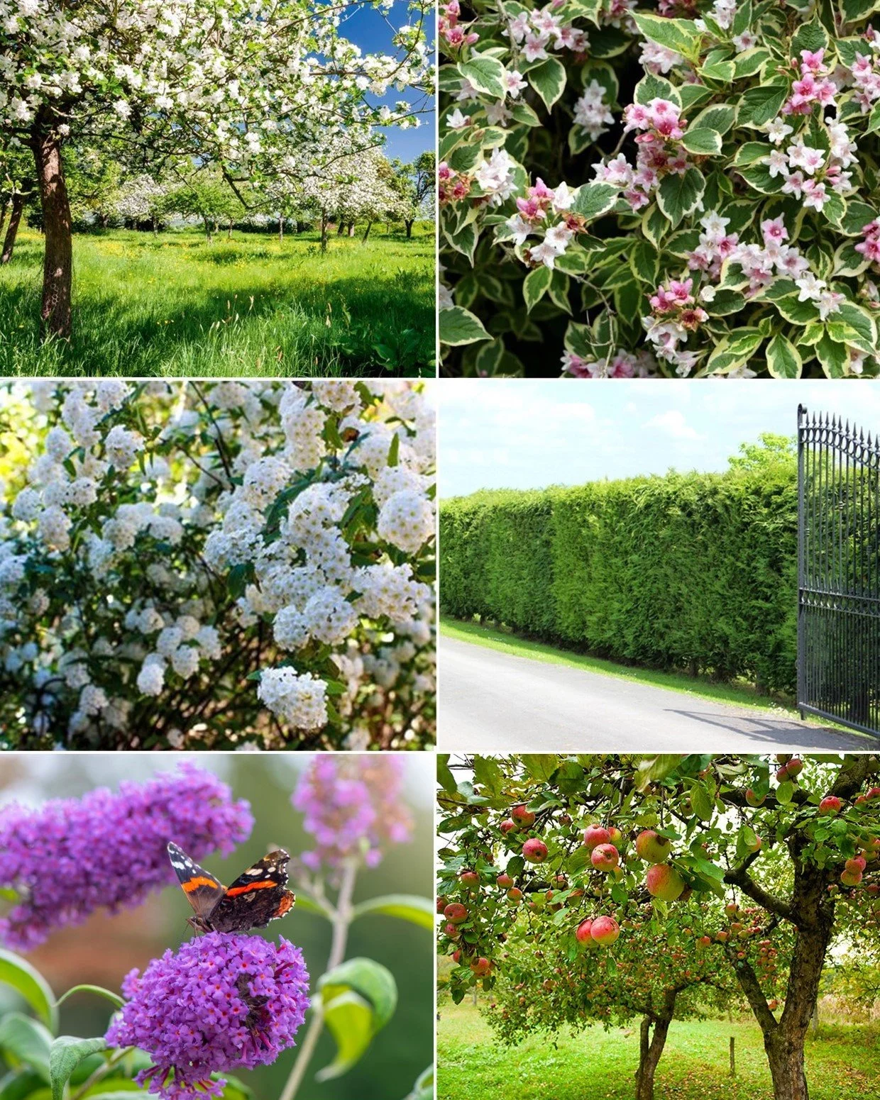 New barns Nurseries