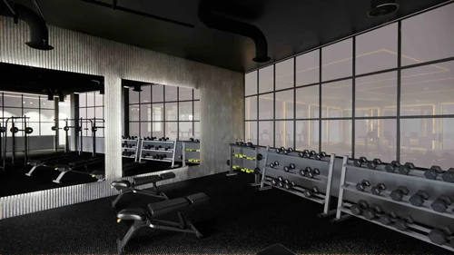 The Evolution of Fitness Facility Design: Expert Insights for Modern ...