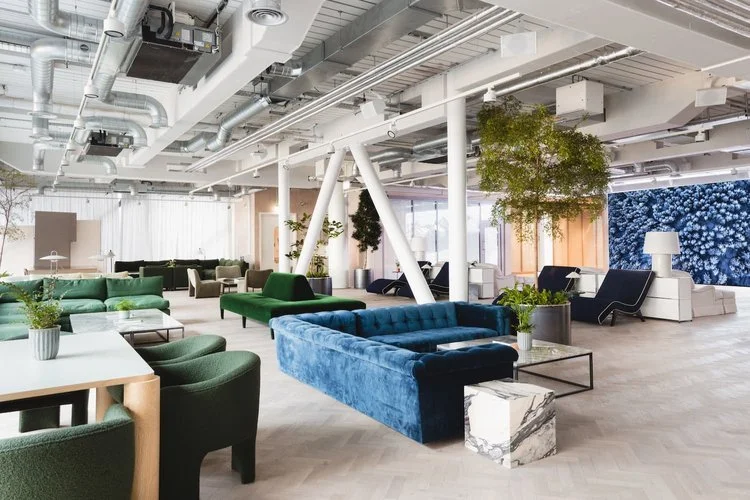 Biophilic Gym: Examples of Wellness Zones with Biophilic Design ...