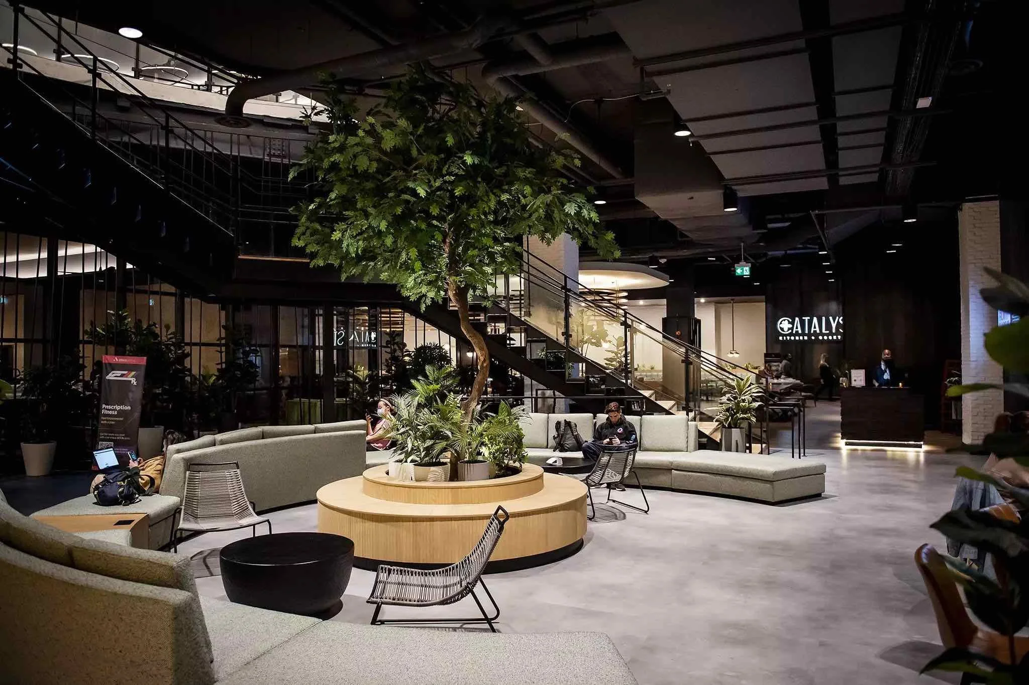 Biophilic Gym: Examples of Wellness Zones with Biophilic Design ...