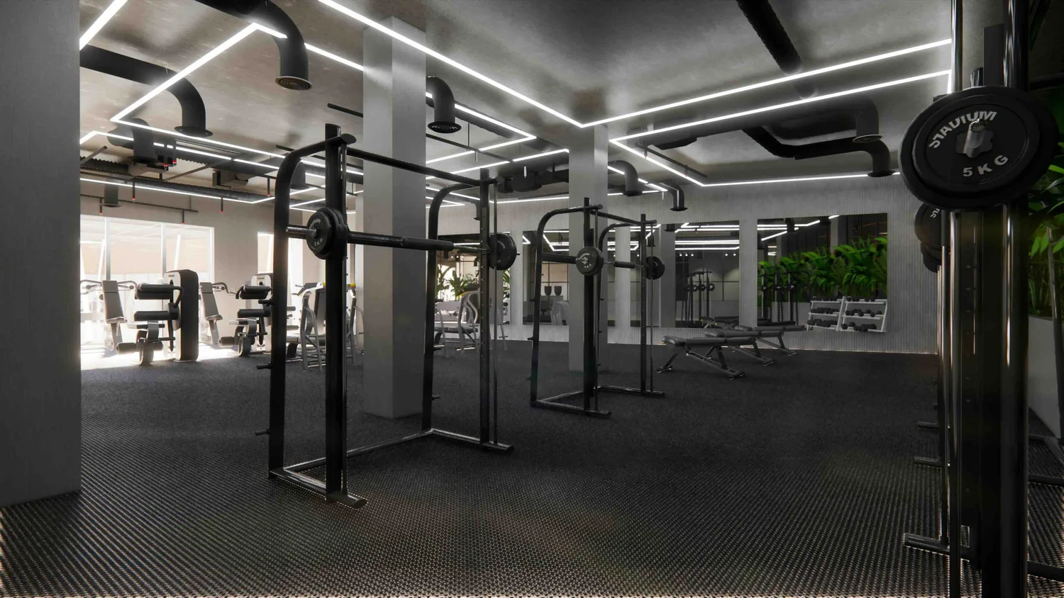 The Evolution of Fitness Facility Design: Expert Insights for Modern ...