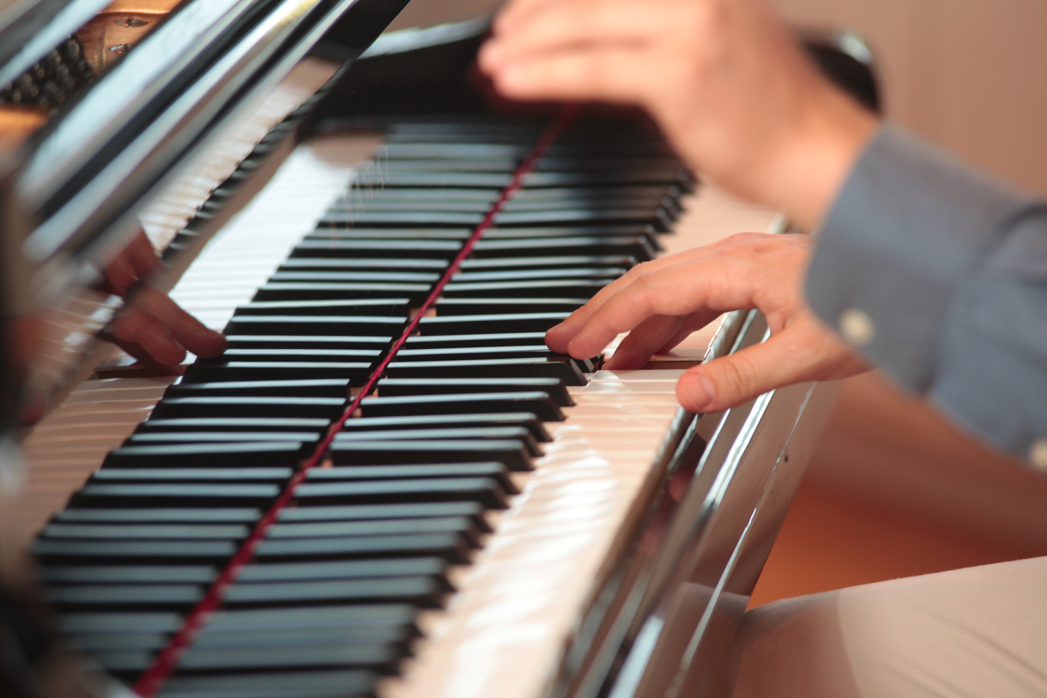 Vladimir Horowitz Piano Essentials