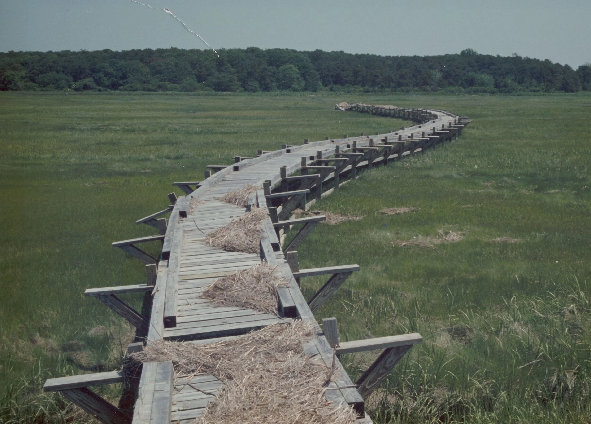 Our Beloved Boardwalk - a history — Historical Society of Old Yarmouth