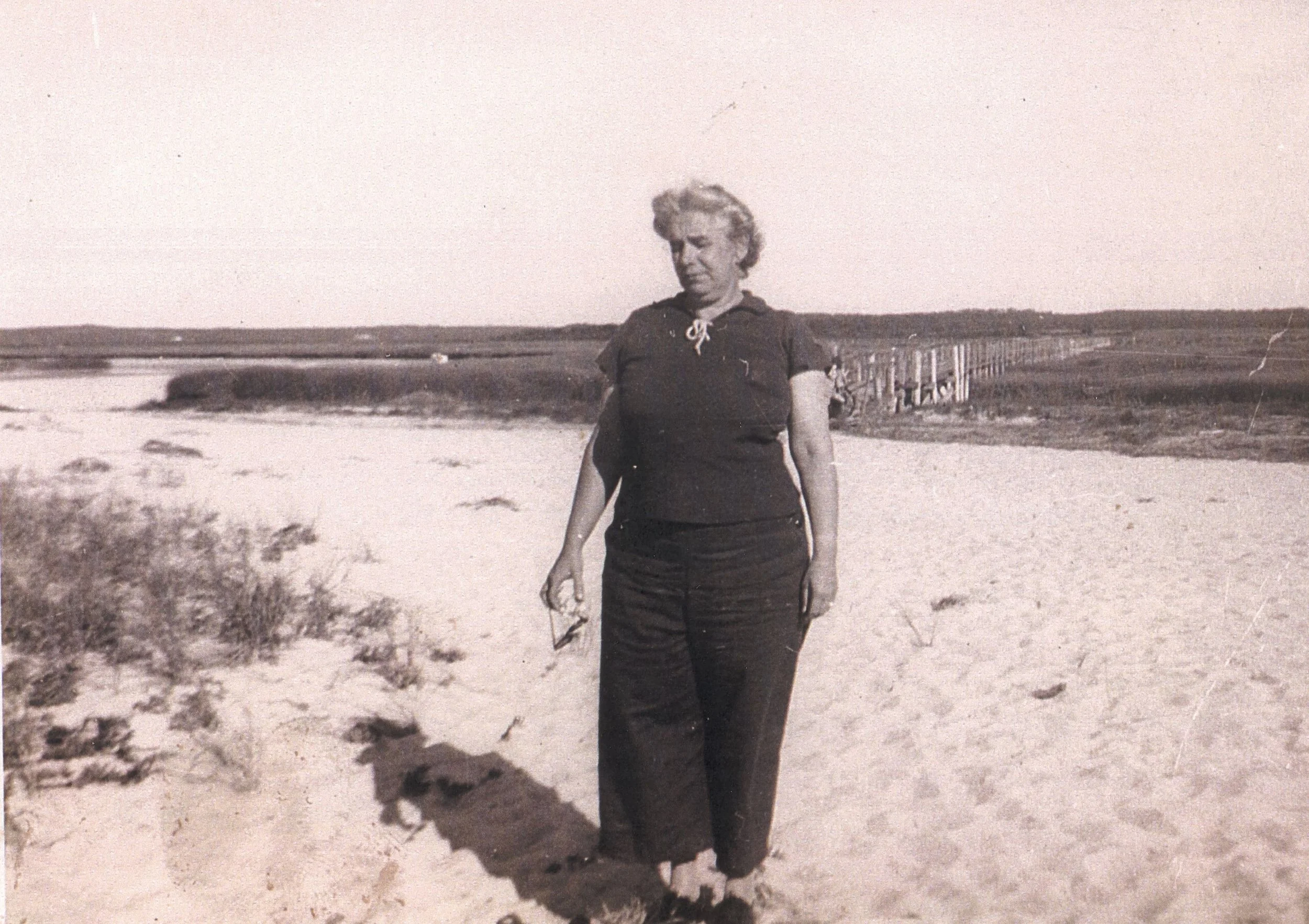 Our Beloved Boardwalk - a history — Historical Society of Old Yarmouth