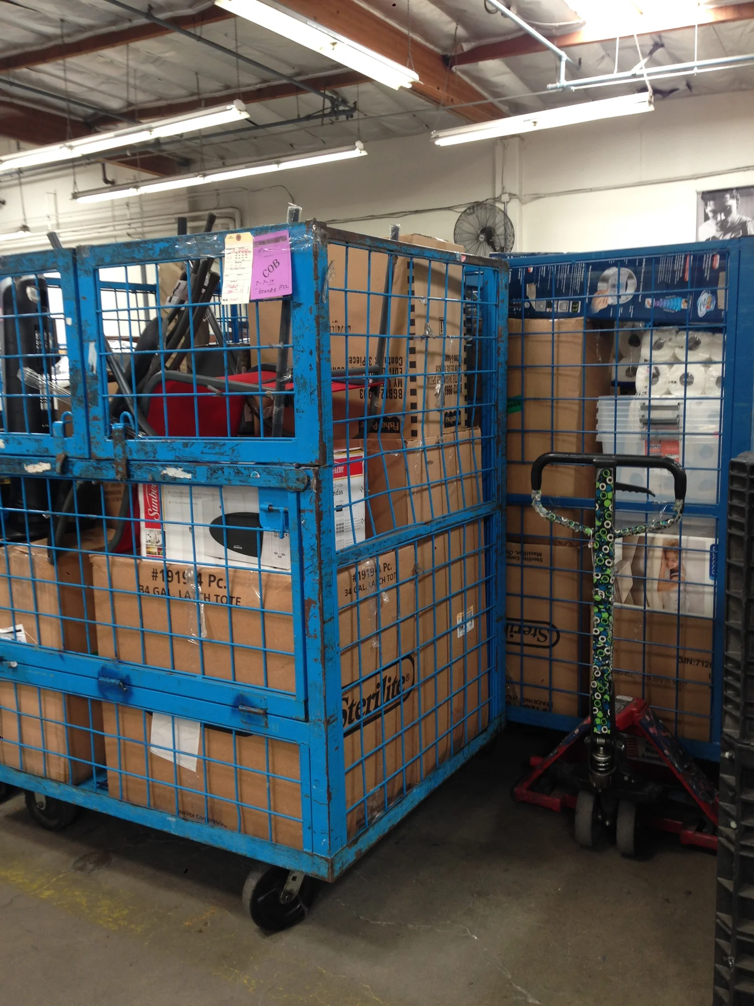 RARE x Goodwill: Case Study — Ruthi Daugherty