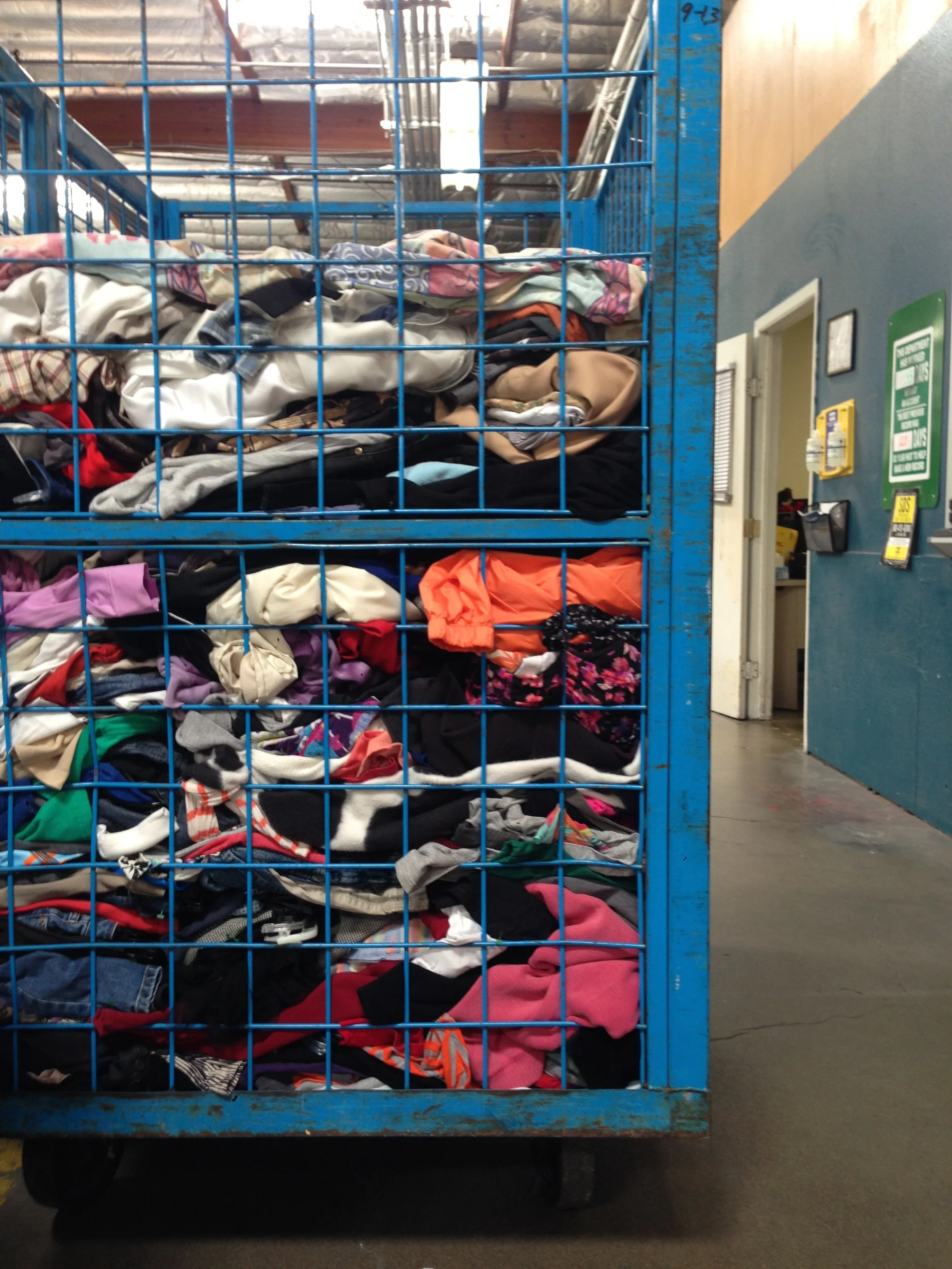 RARE x Goodwill: Case Study — Ruthi Daugherty