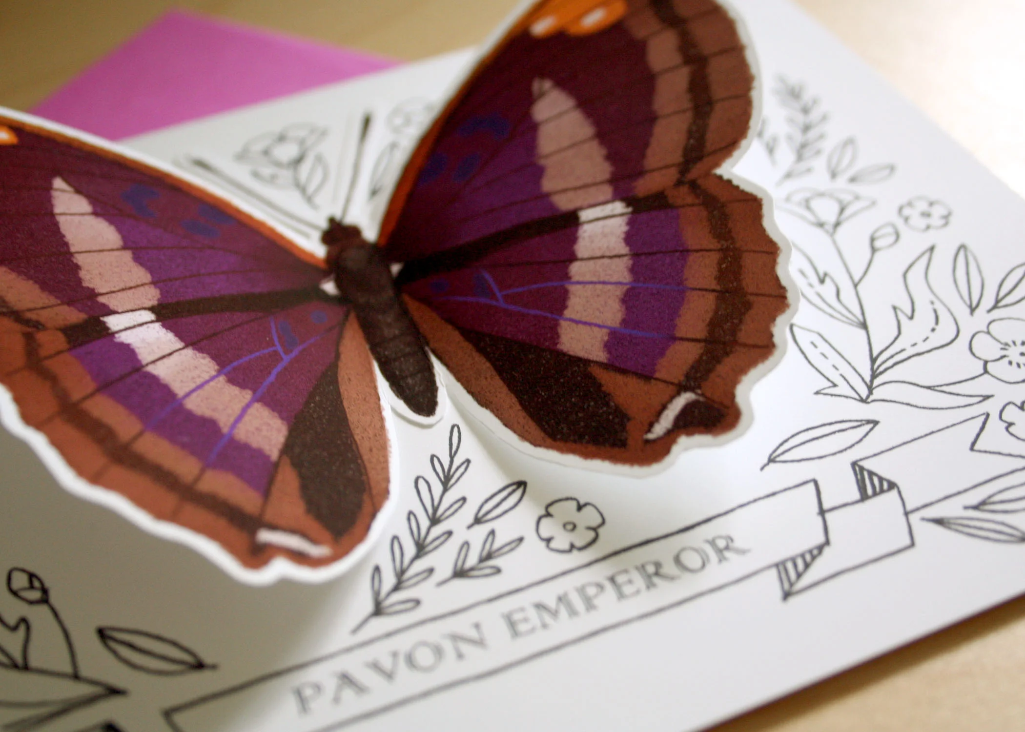 Emily Dahl's Illustration Blog — Emily Dahl