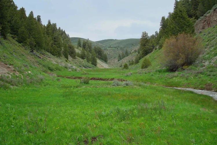 Release Forms — Wild Country Outfitters