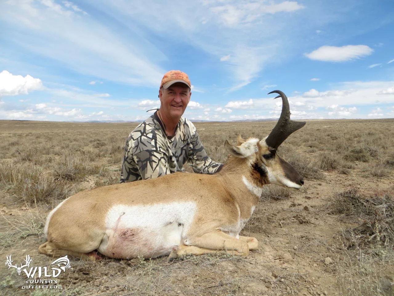 Pronghorn — Wild Country Outfitters