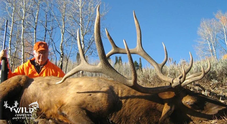Elk — Wild Country Outfitters