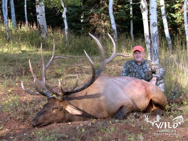 Elk — Wild Country Outfitters