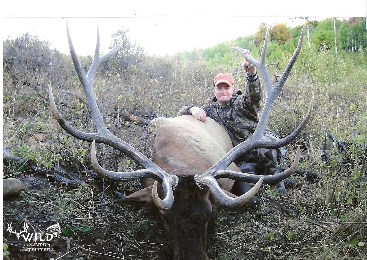 Elk — Wild Country Outfitters