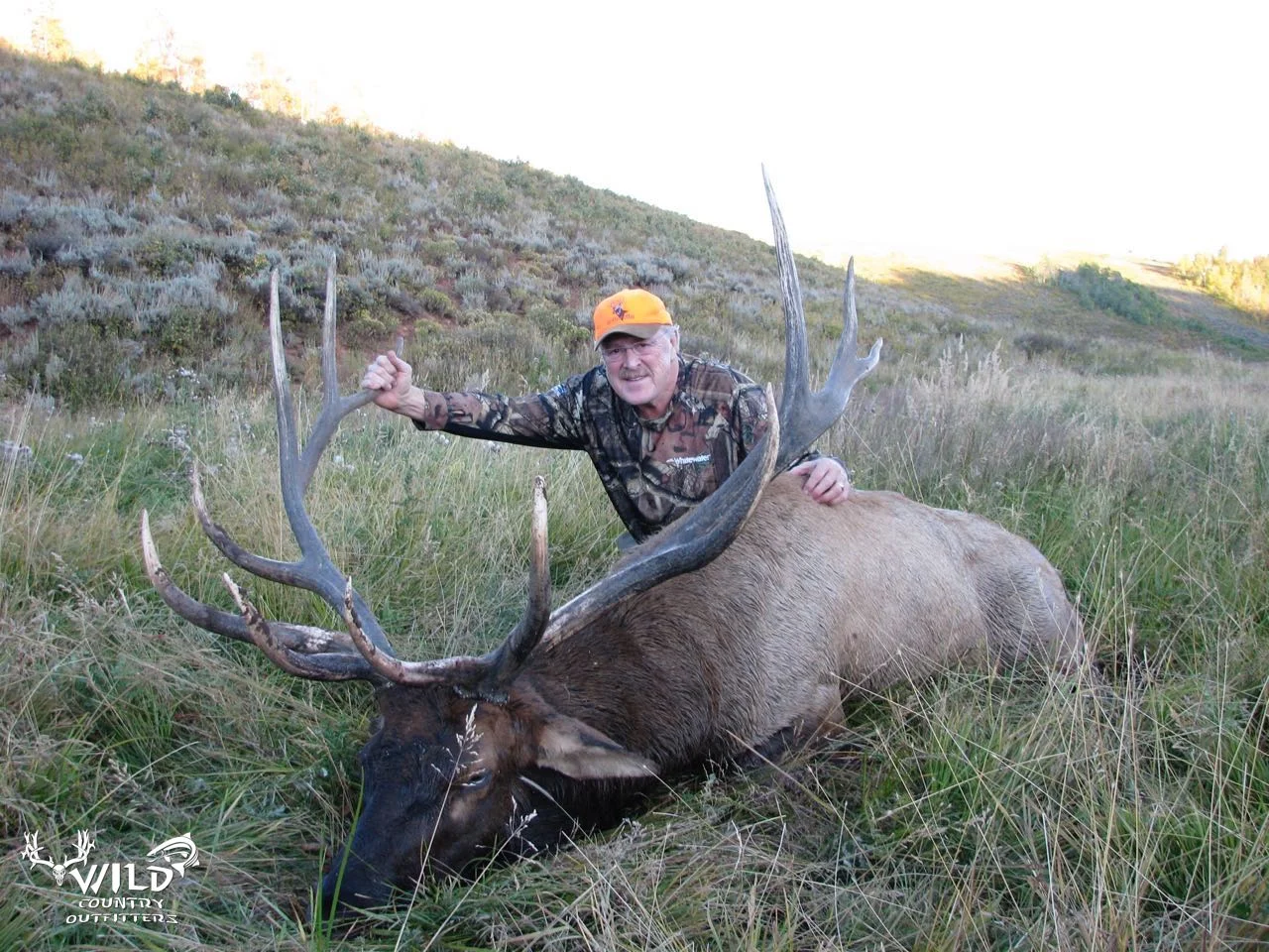 Elk — Wild Country Outfitters