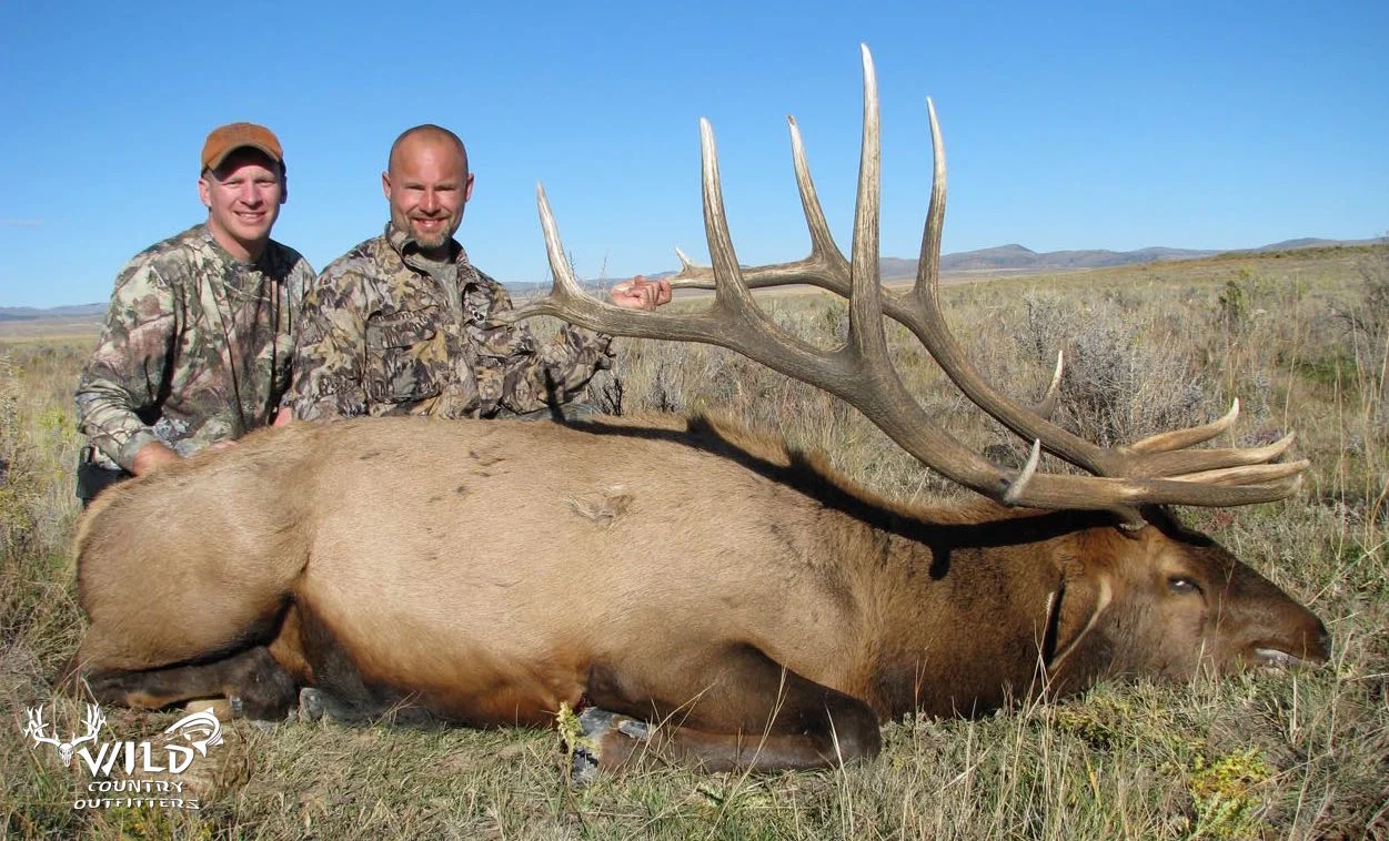 Elk — Wild Country Outfitters