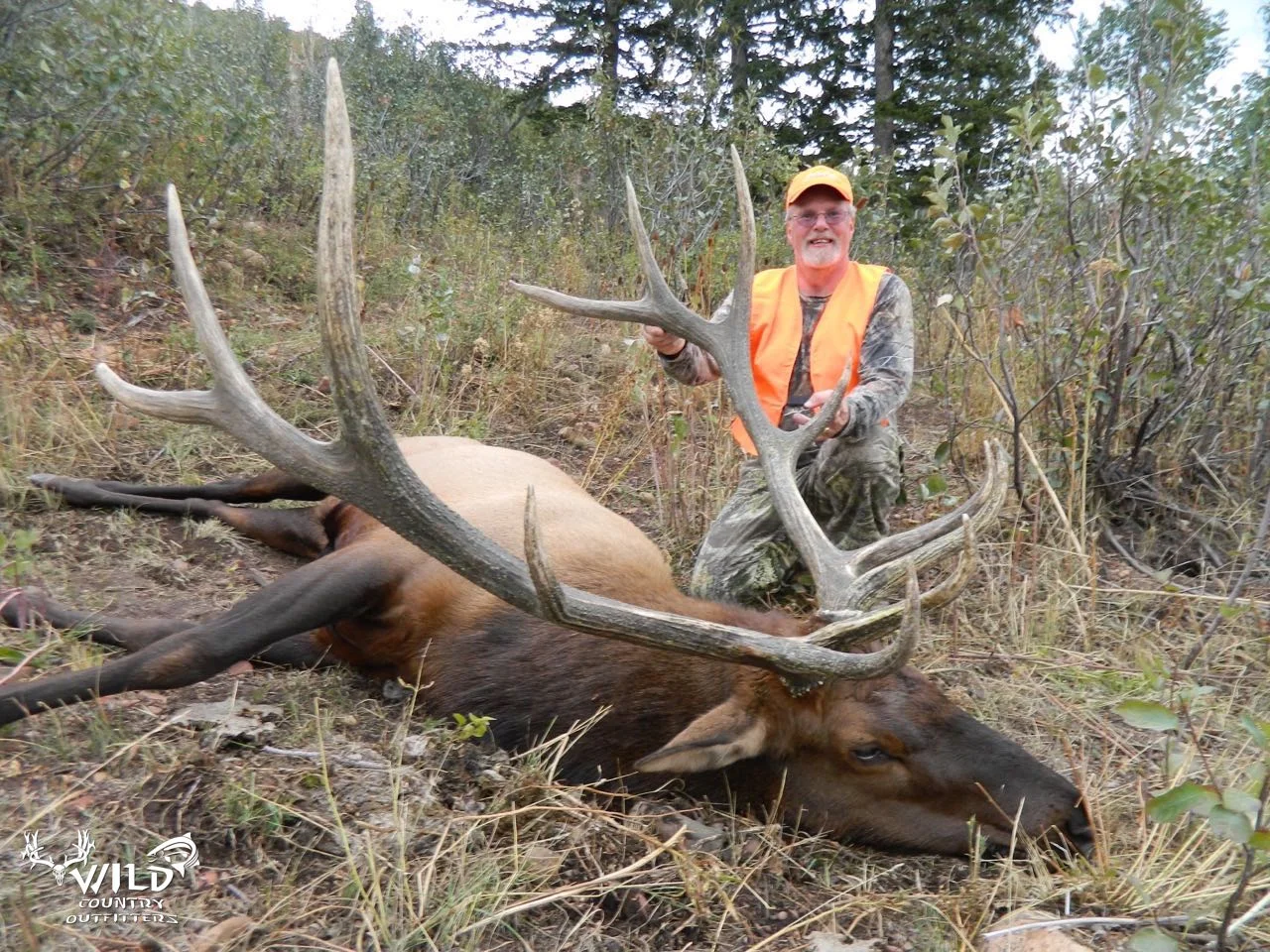 Elk — Wild Country Outfitters