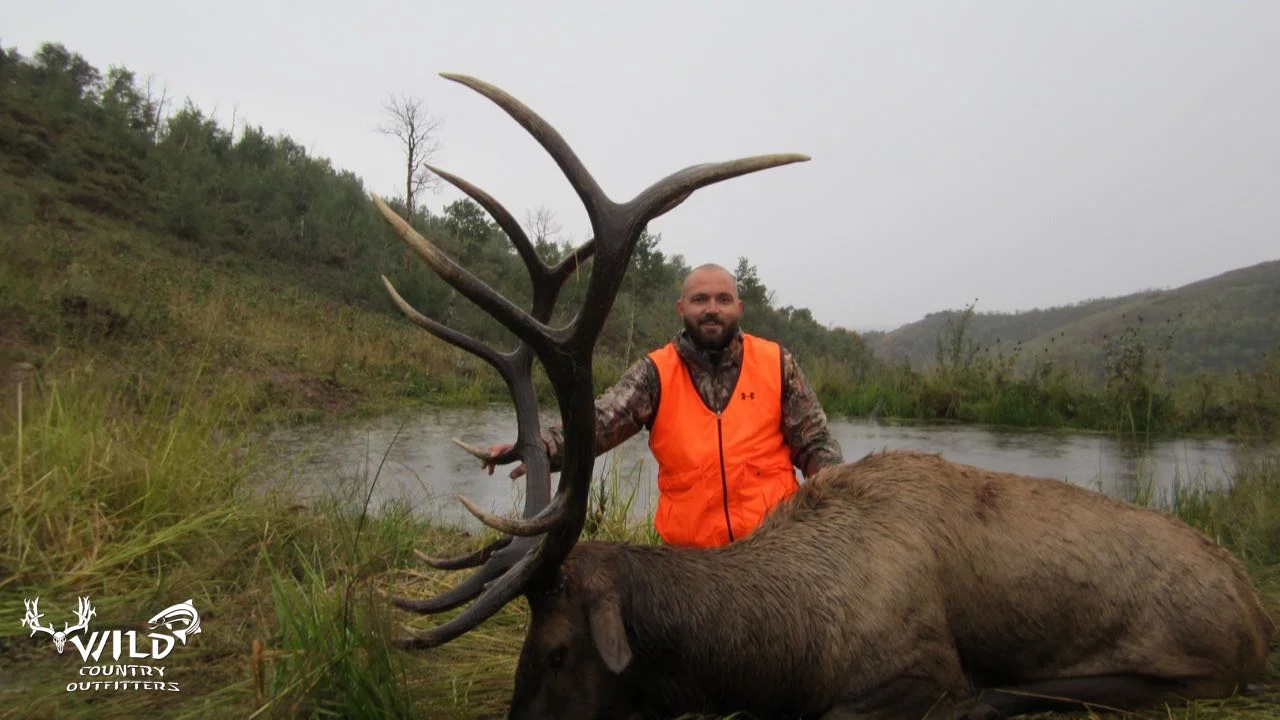 Elk — Wild Country Outfitters