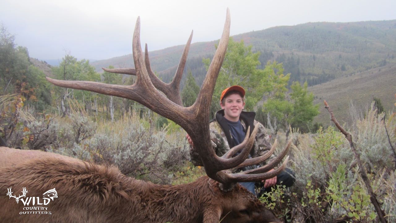 Elk — Wild Country Outfitters
