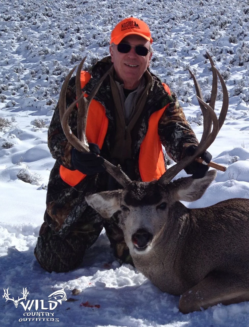Deer — Wild Country Outfitters