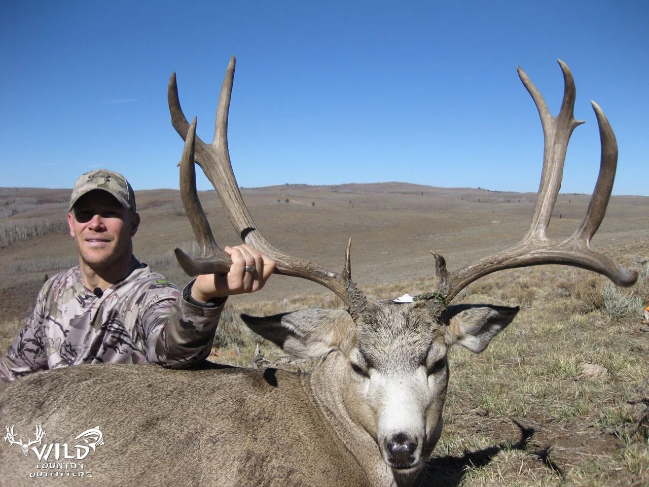 Deer — Wild Country Outfitters