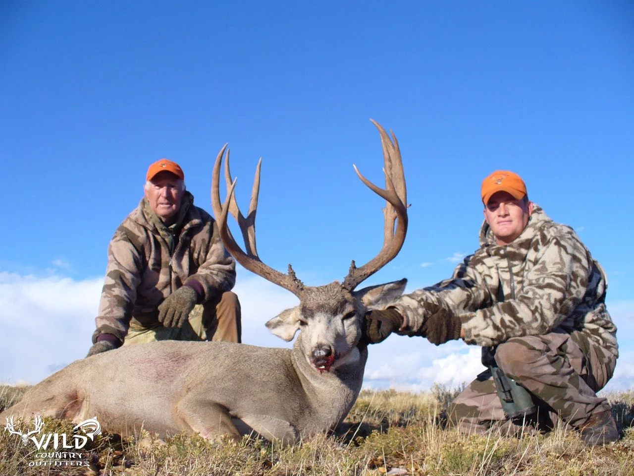 Deer — Wild Country Outfitters
