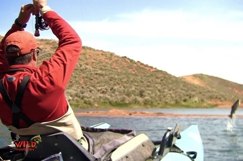 Wild Country Outfitters