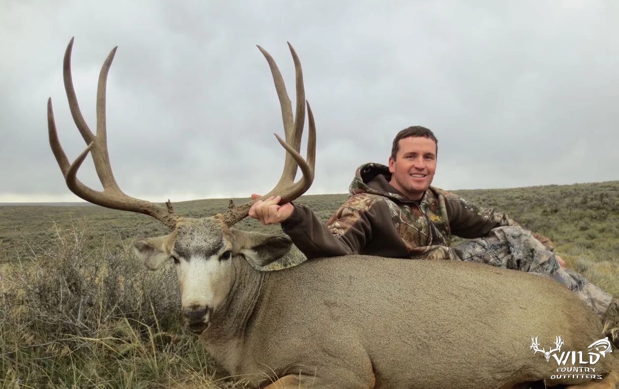 Deer — Wild Country Outfitters