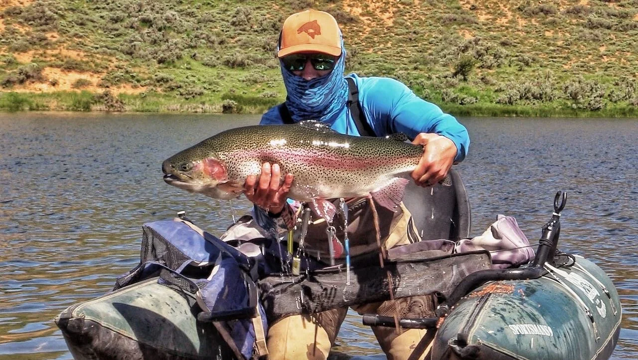 Fly Fishing Rainbow Trout
