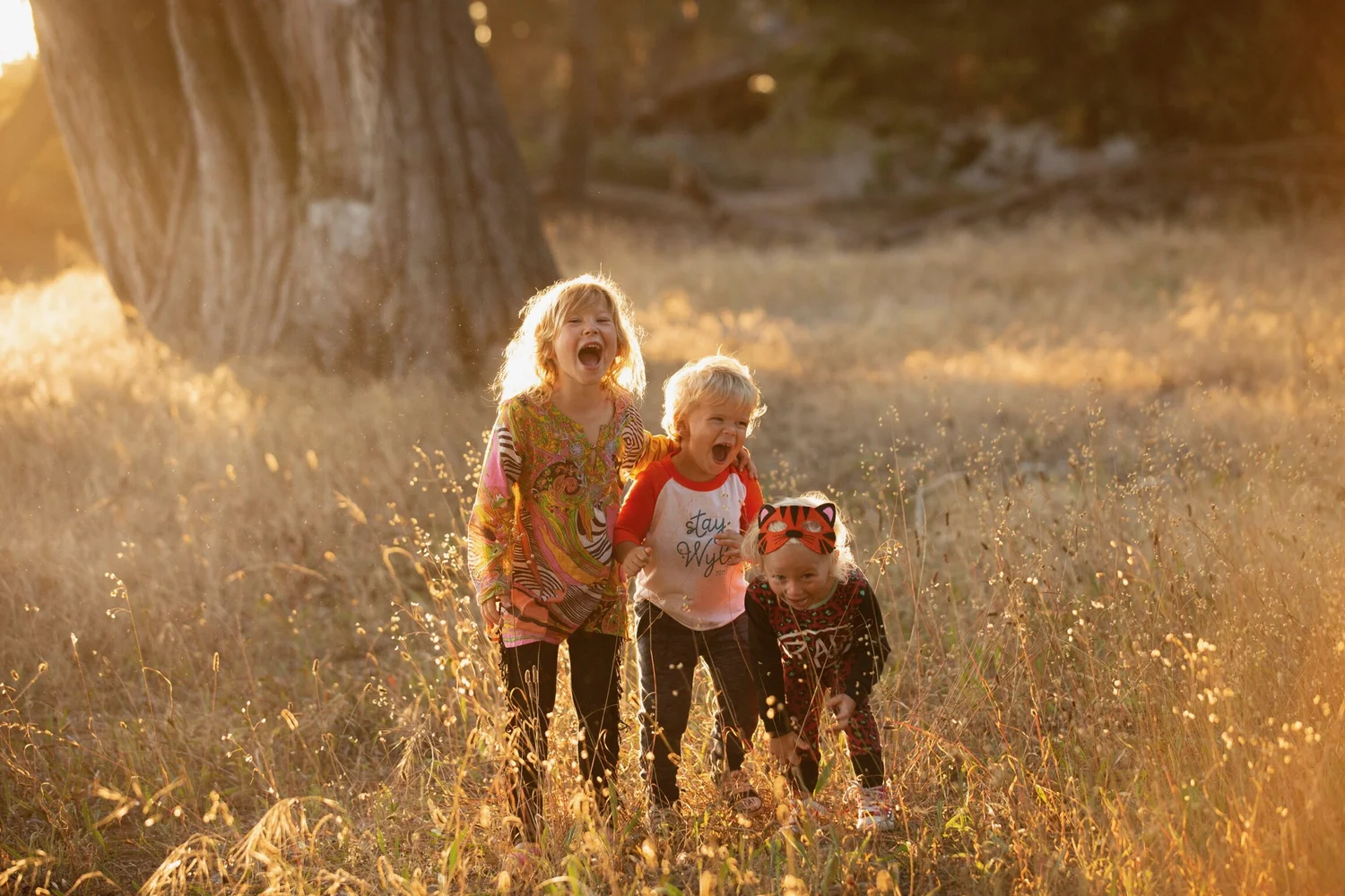 The Wyldflower Collective