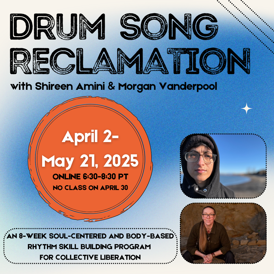 Shireen Amini Music Medicine
