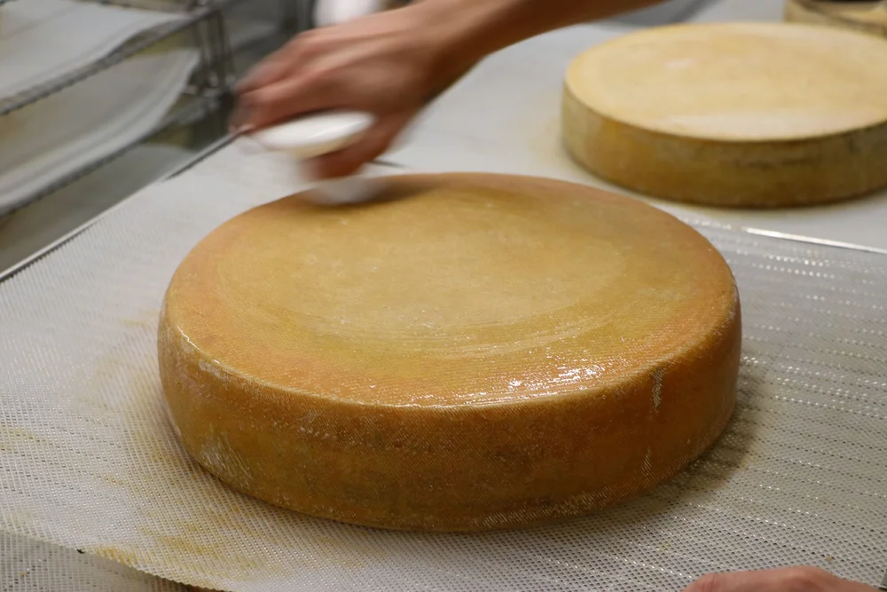 The Cheese — King Stone Dairy