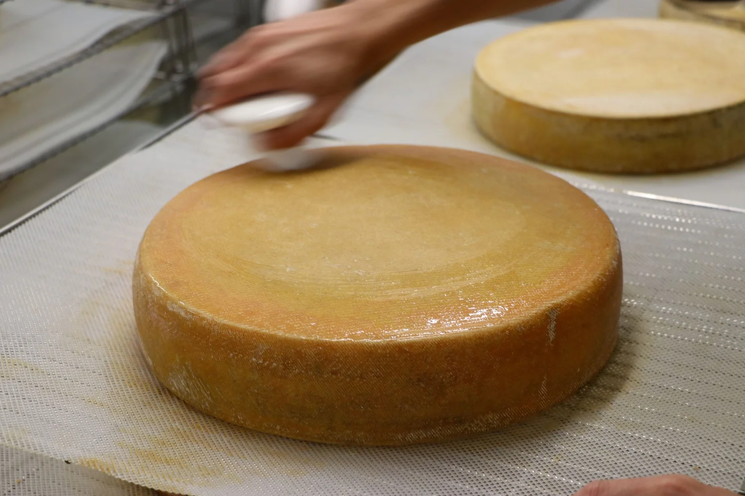 The Cheese — King Stone Dairy