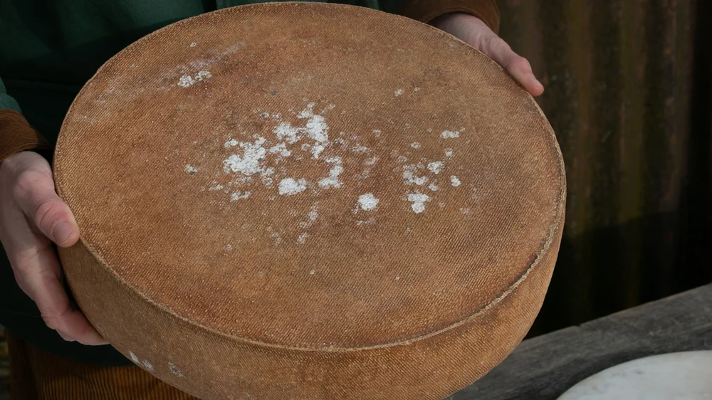 The Cheese — King Stone Dairy