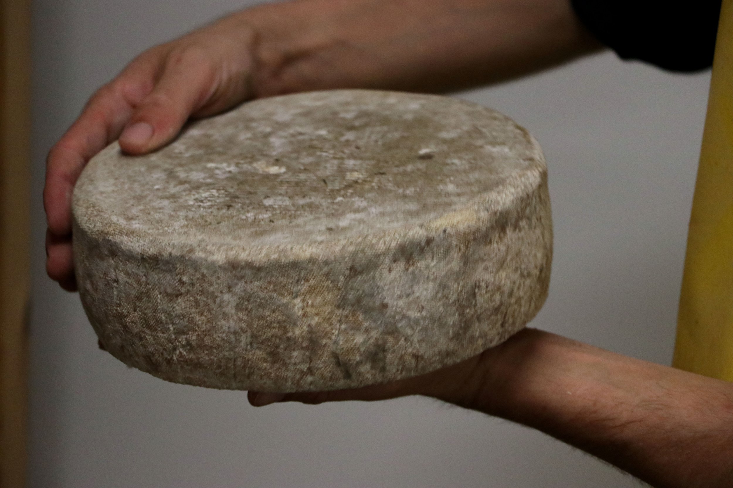 The Cheese — King Stone Dairy