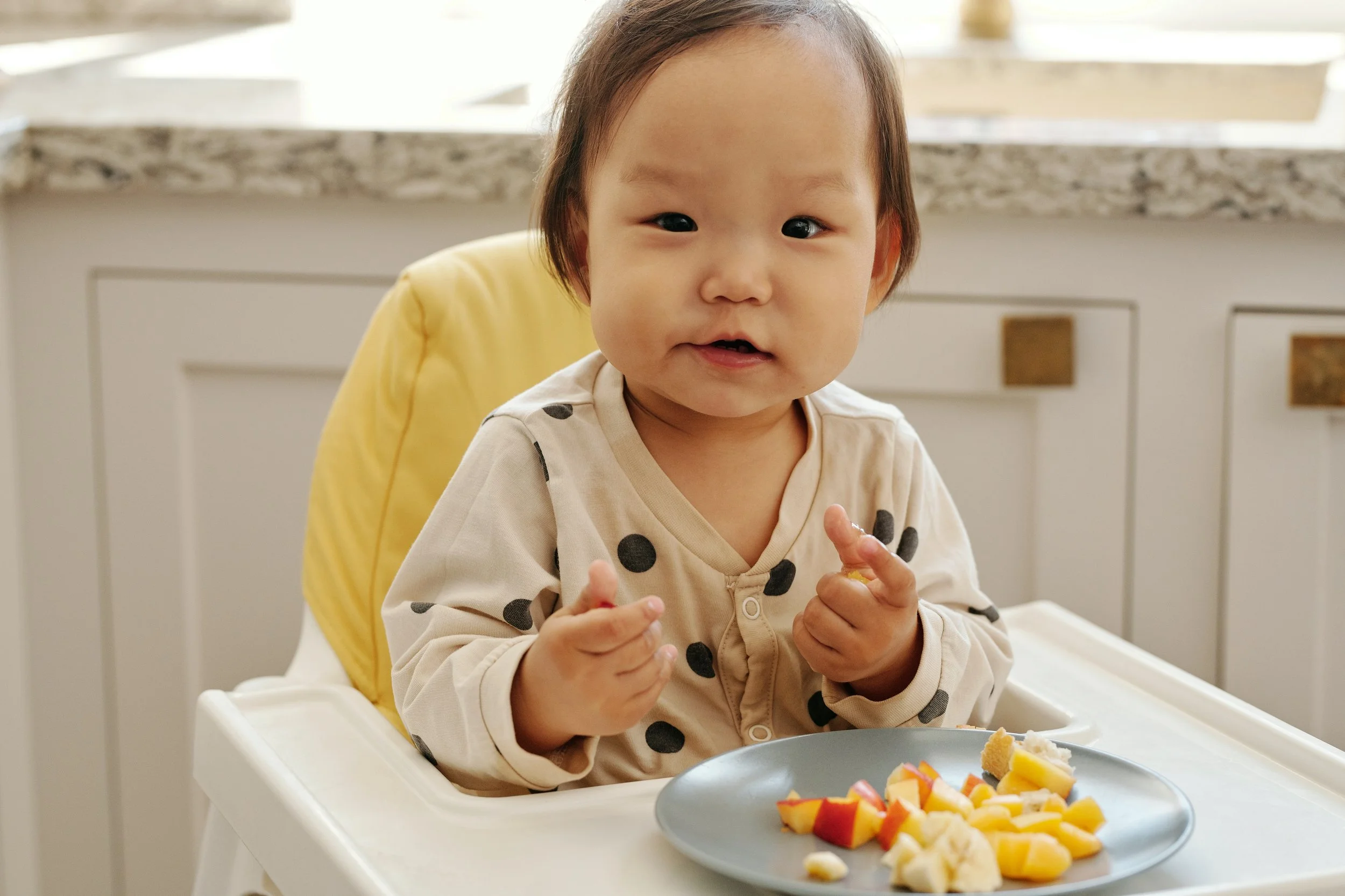 What to Feed Your Toddler And When! Plus: How to Deal With Picky Eaters ...