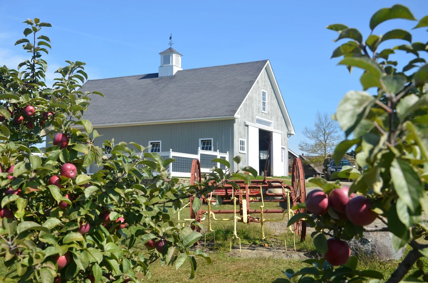 Treworgy Family Orchards | Come Gather Beautifully -- Apple Picking ...