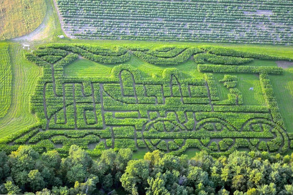 Corn Maze — Treworgy Family Orchards | Come Gather Beautifully -- Apple ...