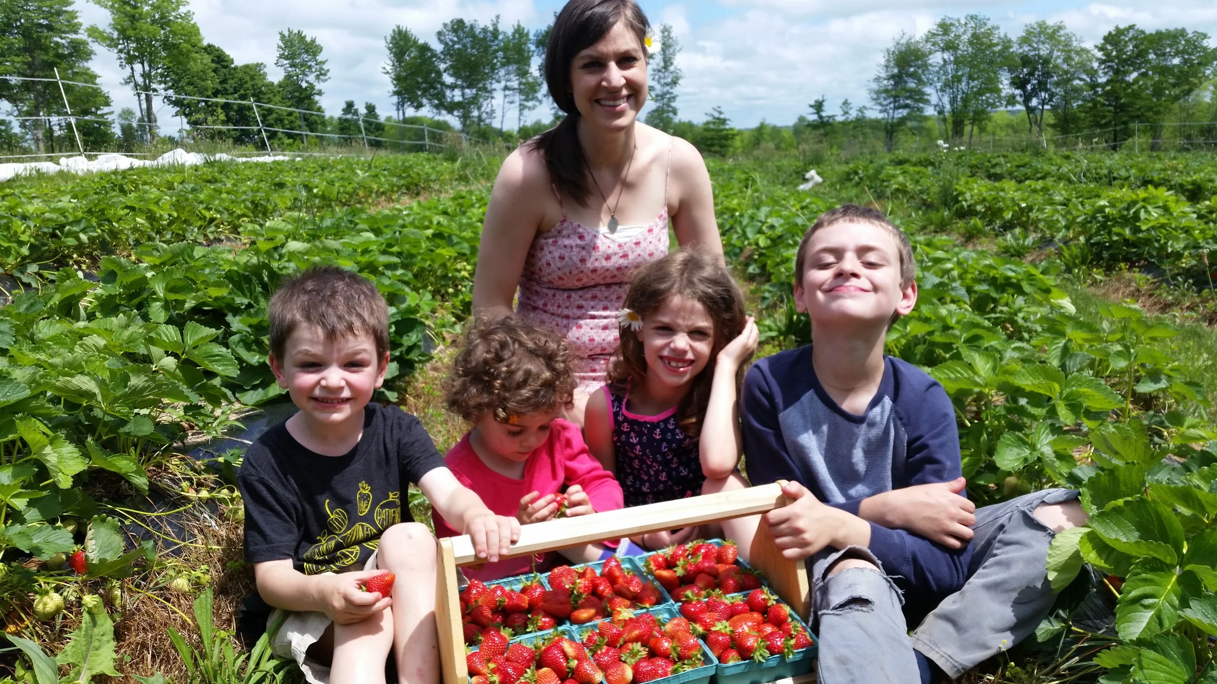 Berries — Treworgy Family Orchards | Come Gather Beautifully -- Apple ...
