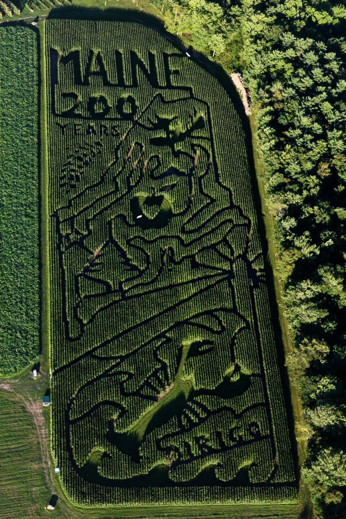Corn Maze — Treworgy Family Orchards | Come Gather Beautifully -- Apple ...