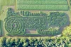 Corn Maze — Treworgy Family Orchards | Come Gather Beautifully -- Apple ...